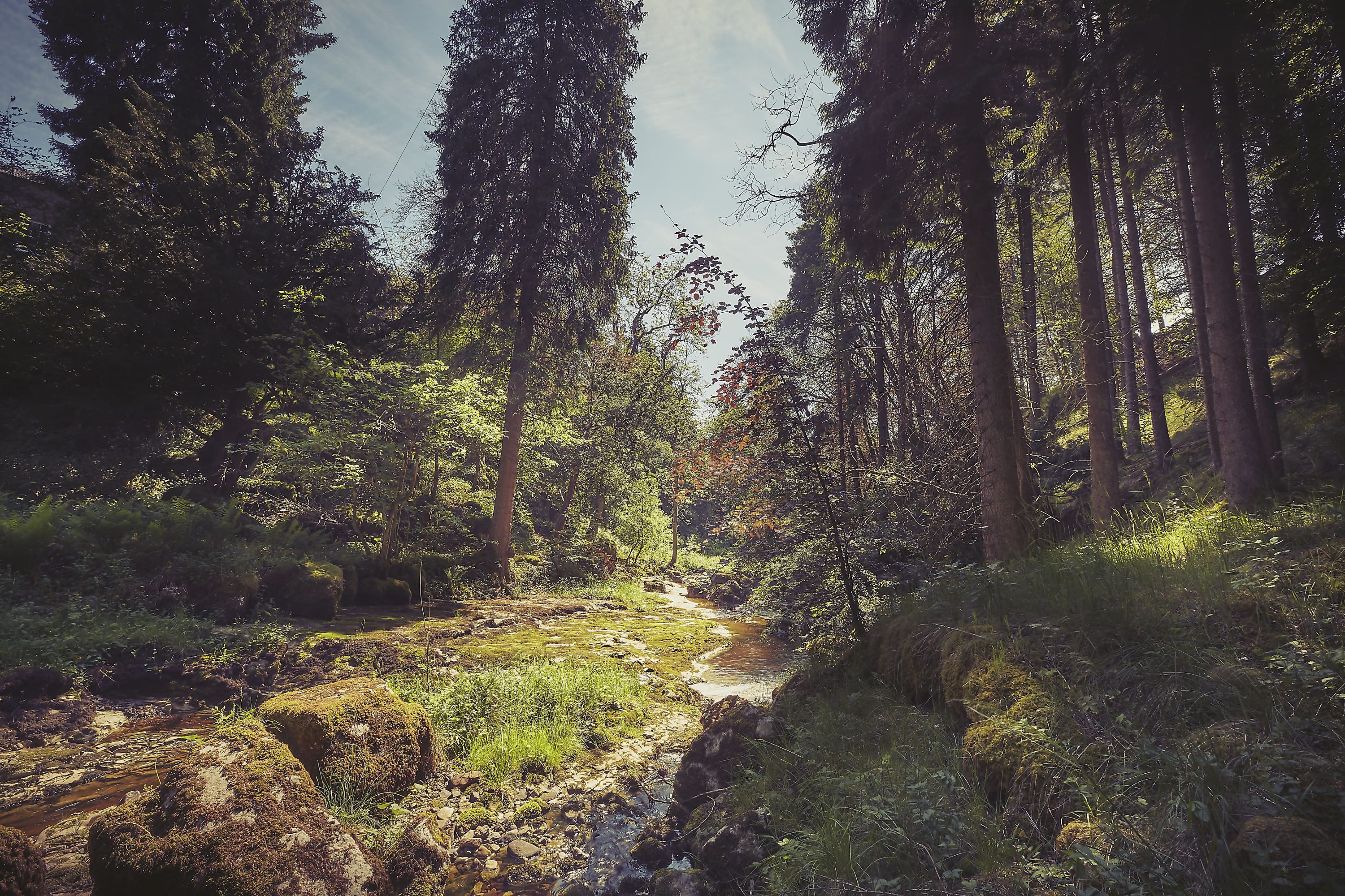 Ben’s Tour: The River Walk at Oughtershaw Hall - Catch the Breeze Retreats